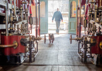 Ramsey Steam & Fire Show - Ramsey Rural Museum 2024, Ramsey | Steam ...