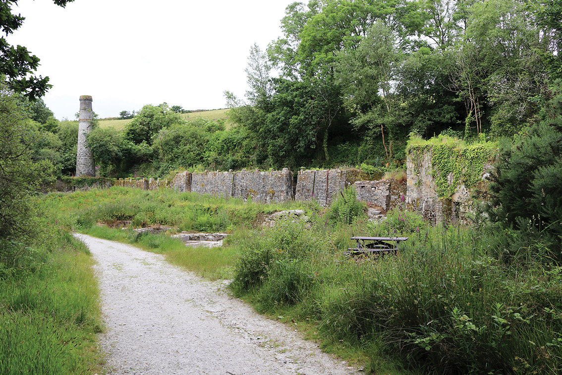 Tregargus Valley 2025, Nr St Stephen, Cornwall | Steam Heritage