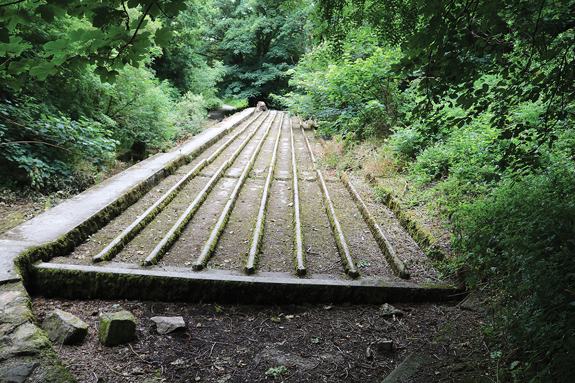 Tregargus Valley 2025, Nr St Stephen, Cornwall | Steam Heritage
