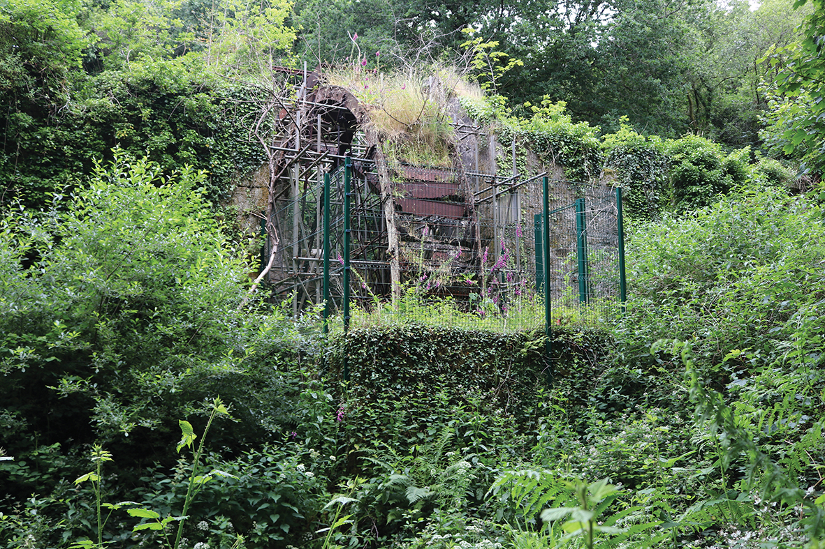 Tregargus Valley 2025, Nr St Stephen, Cornwall | Steam Heritage