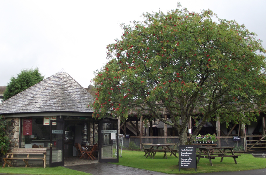 Finch Foundry 2025, Okehampton, Devon | Steam Heritage