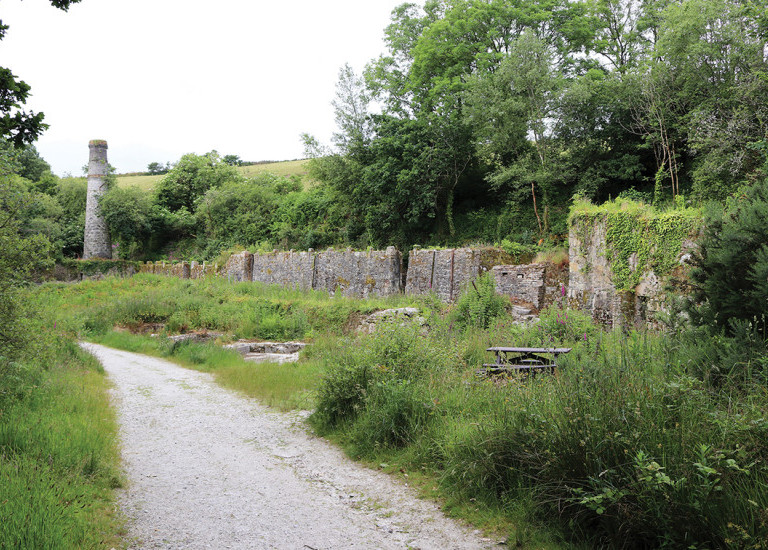 Tregargus Valley 2025, Nr St Stephen, Cornwall | Steam Heritage