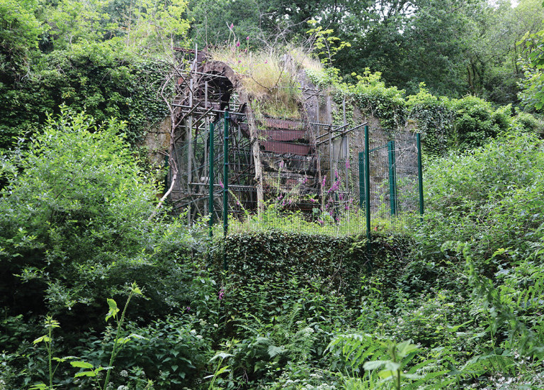 Tregargus Valley 2025, Nr St Stephen, Cornwall | Steam Heritage