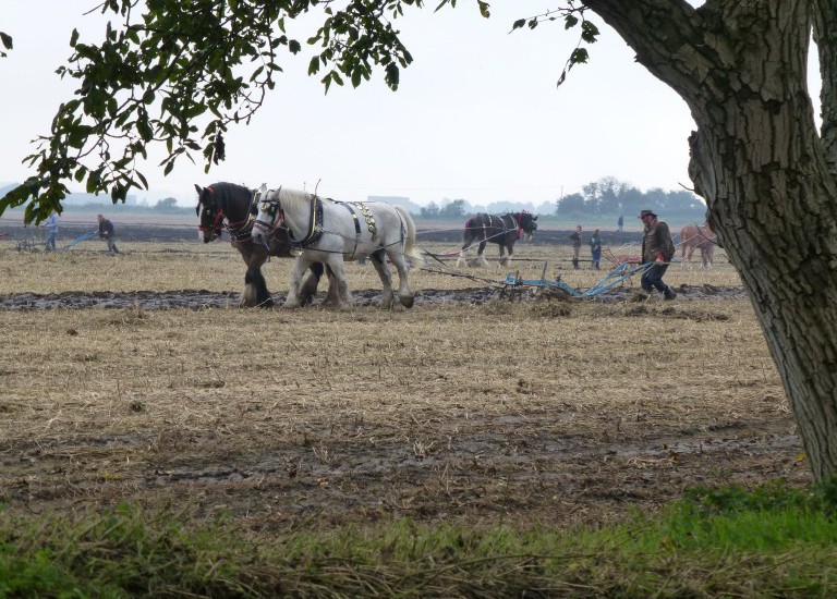 Prickwillow Engine Museum 2025, Ely, Cambridgeshire | Steam Heritage